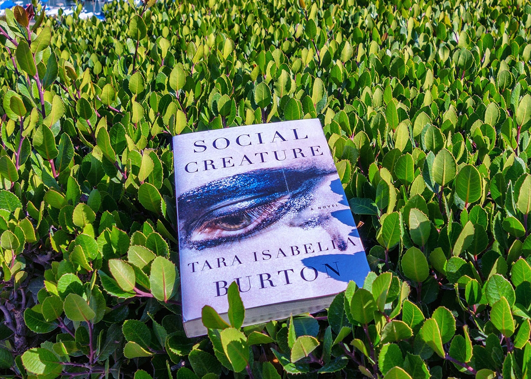 Social Creature - Book Review - Booktimistic